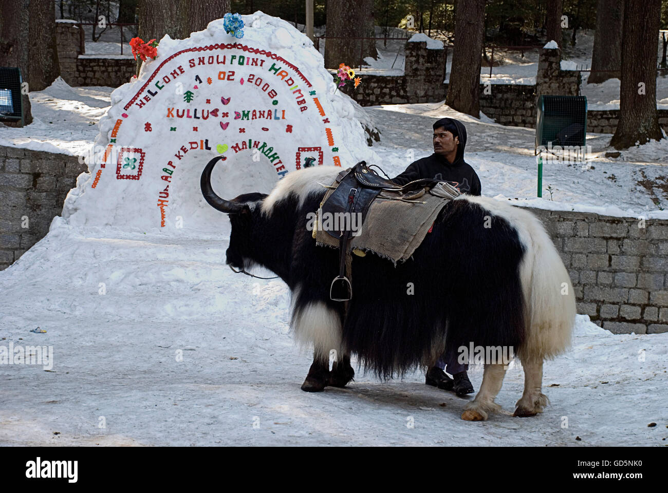 Hidimba Stock Photos & Hidimba Stock Images - Alamy