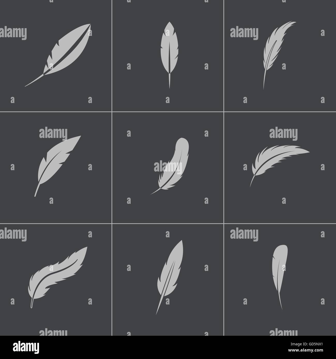 Vector black feather icons set Stock Vector Image & Art - Alamy