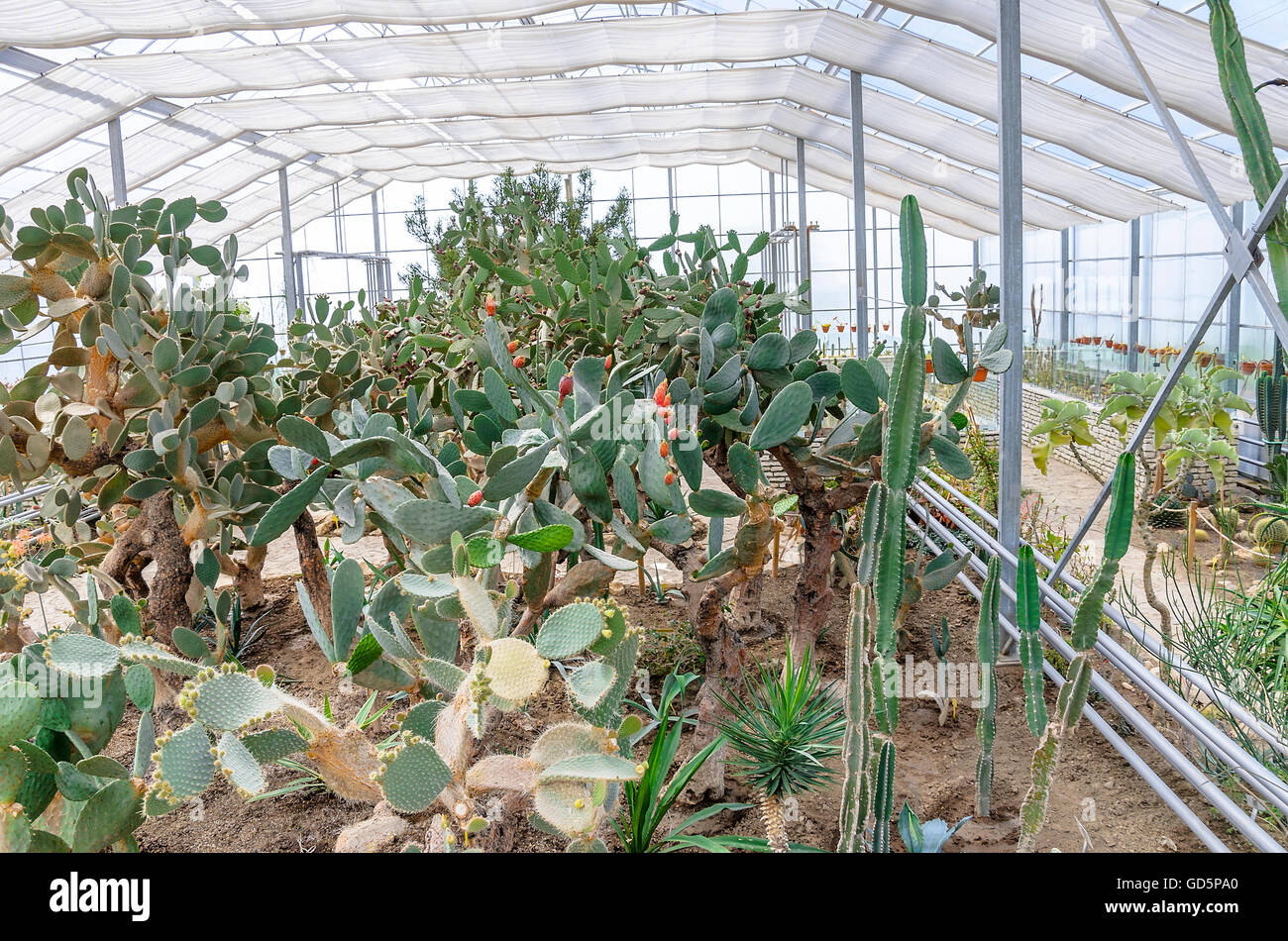 Glass greenhouse hi-res stock photography and images - Alamy