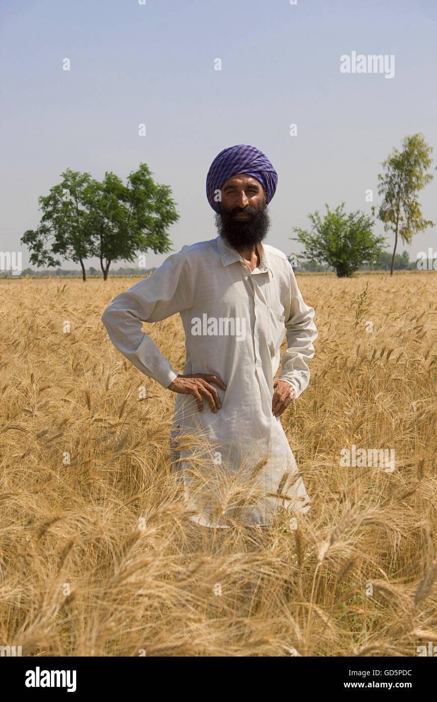Farmer standing in a field Stock Photo - Alamy