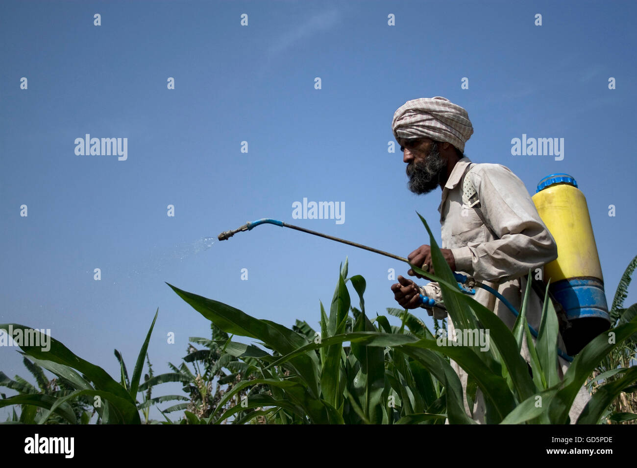 Farmer in his field Stock Photo - Alamy