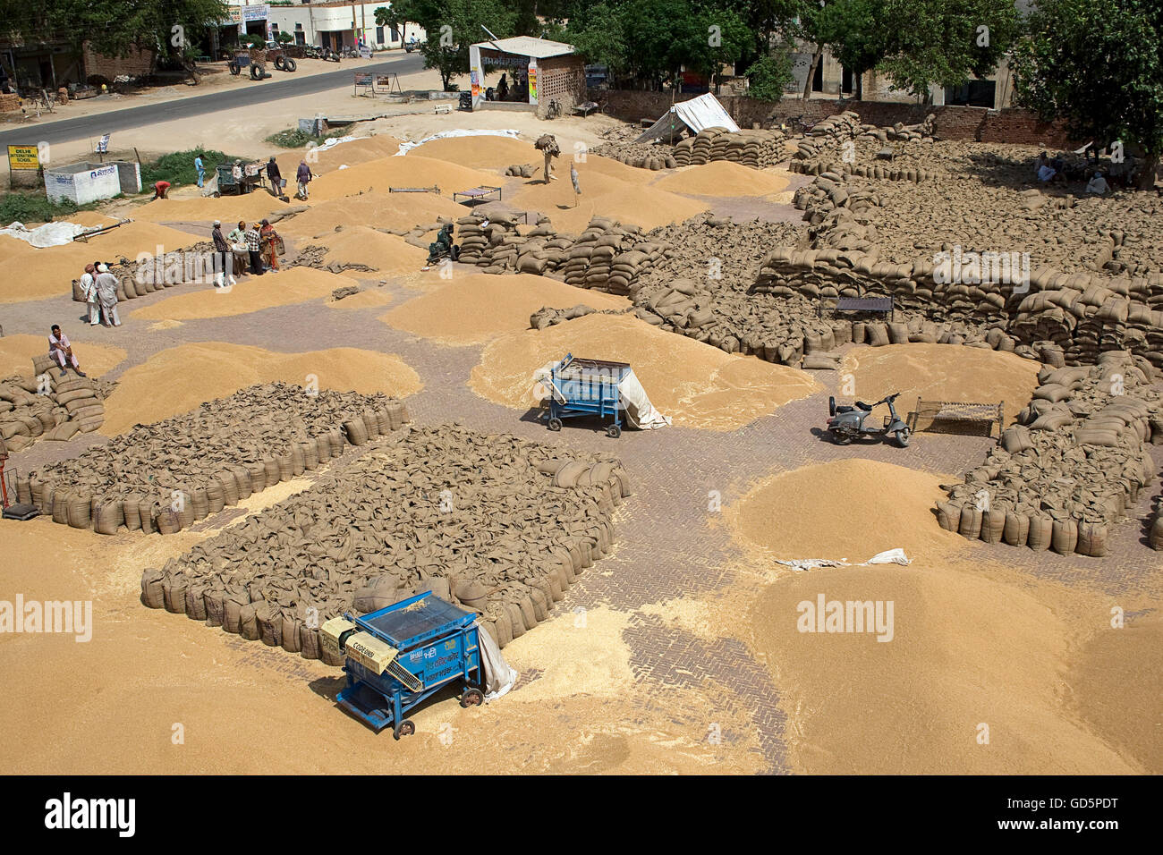 Wheat go down hi-res stock photography and images - Alamy