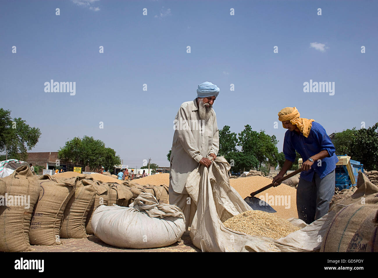 Wheat go down hi-res stock photography and images - Alamy