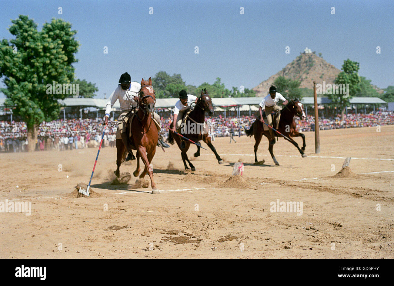 Polo audience hi-res stock photography and images - Alamy