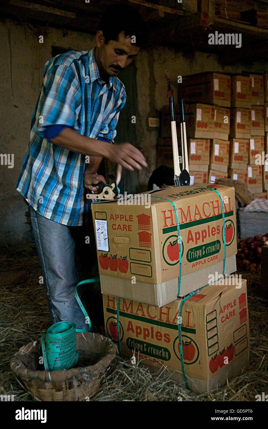 Apple factory india hi-res stock photography and images - Alamy