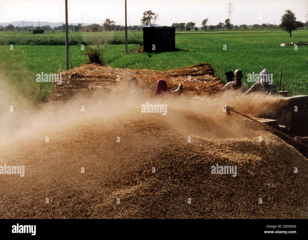 Thrashing hi-res stock photography and images - Alamy