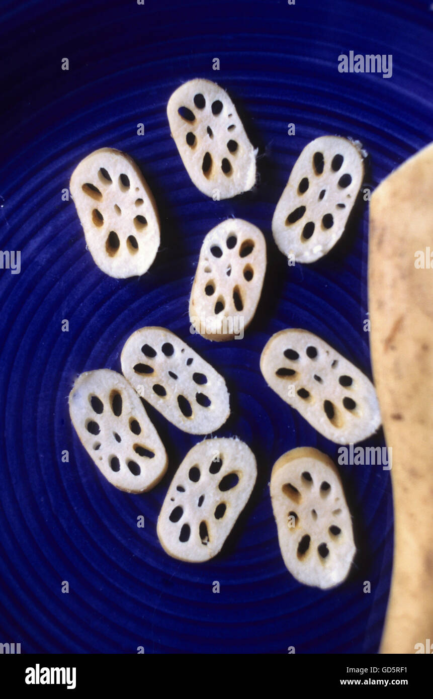 Lotus stalk hi-res stock photography and images - Alamy