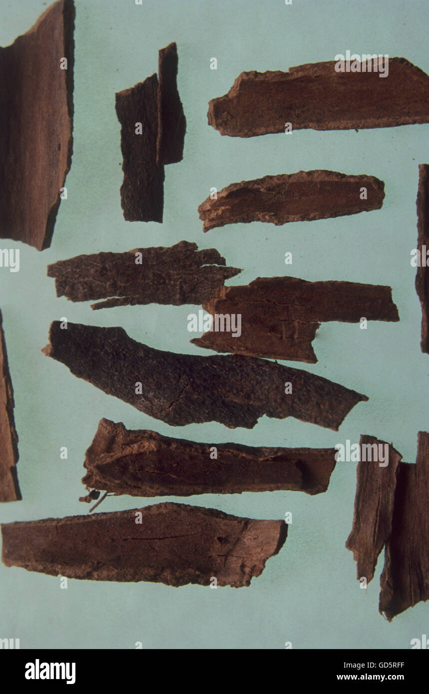 Dar chini hi-res stock photography and images - Alamy