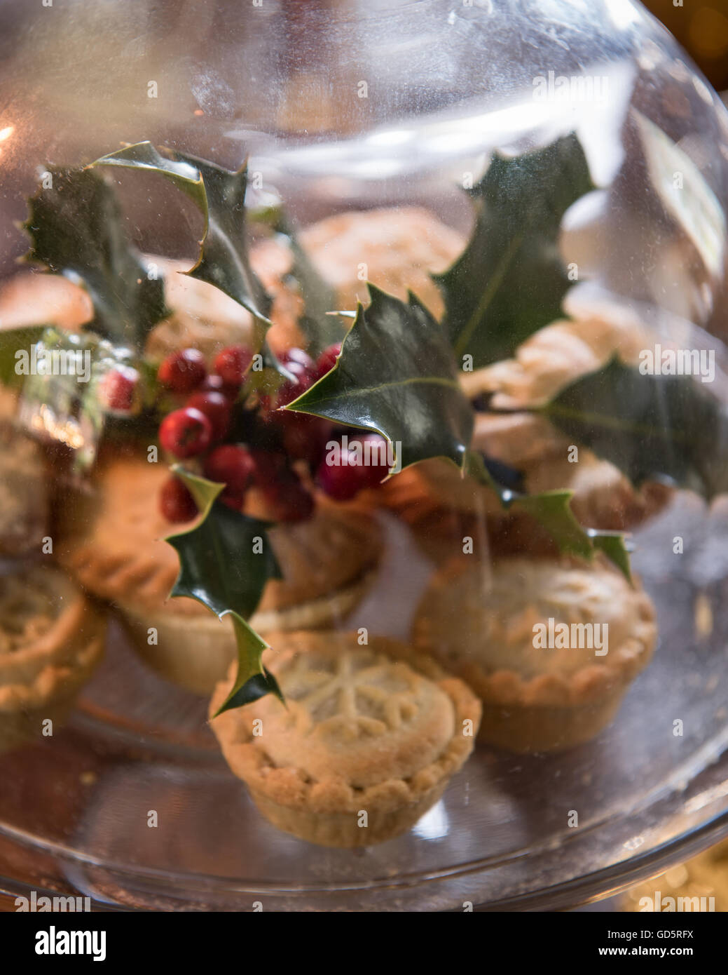 Mince pies with holly leaves and berries in Surrey Rectory Stock Photo ...