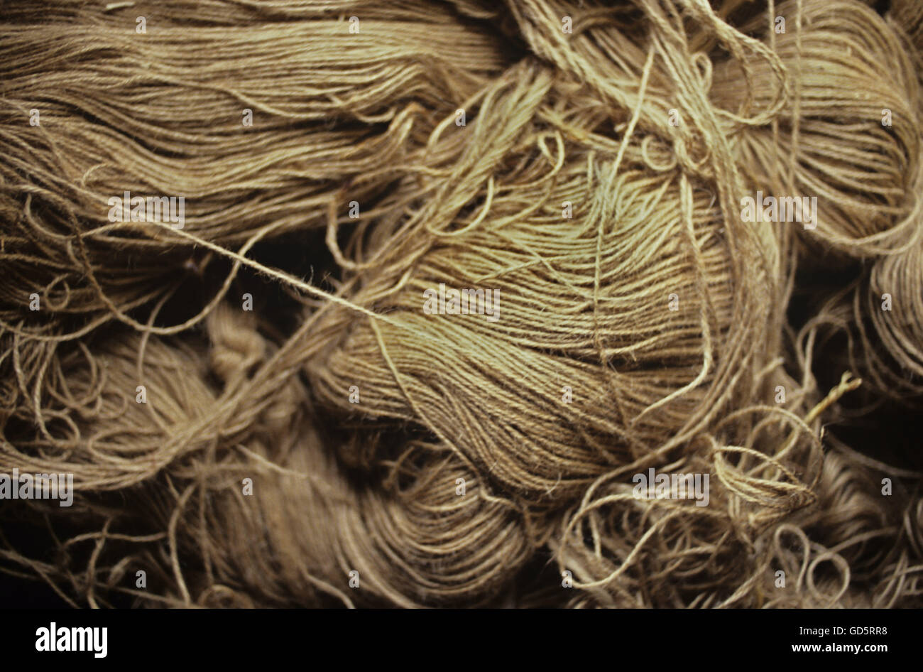 Detail of hemp Stock Photo - Alamy
