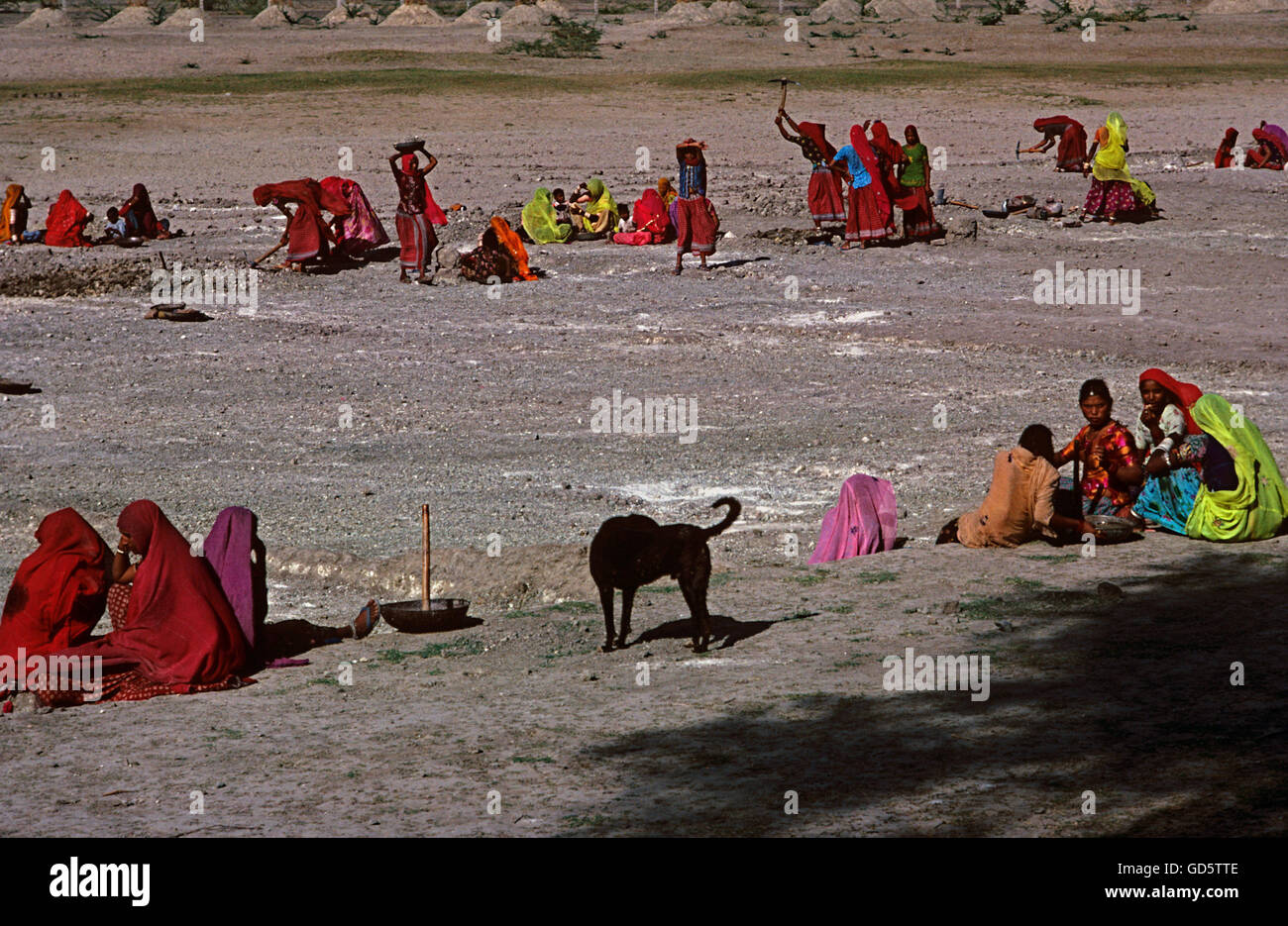 Drought relief work Stock Photo - Alamy