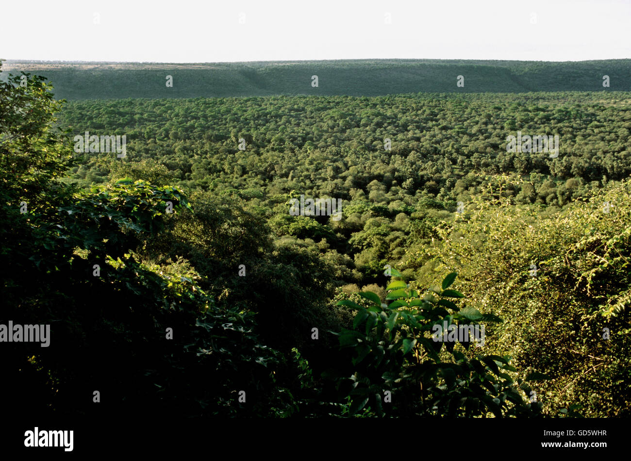 Baroli india hi-res stock photography and images - Alamy