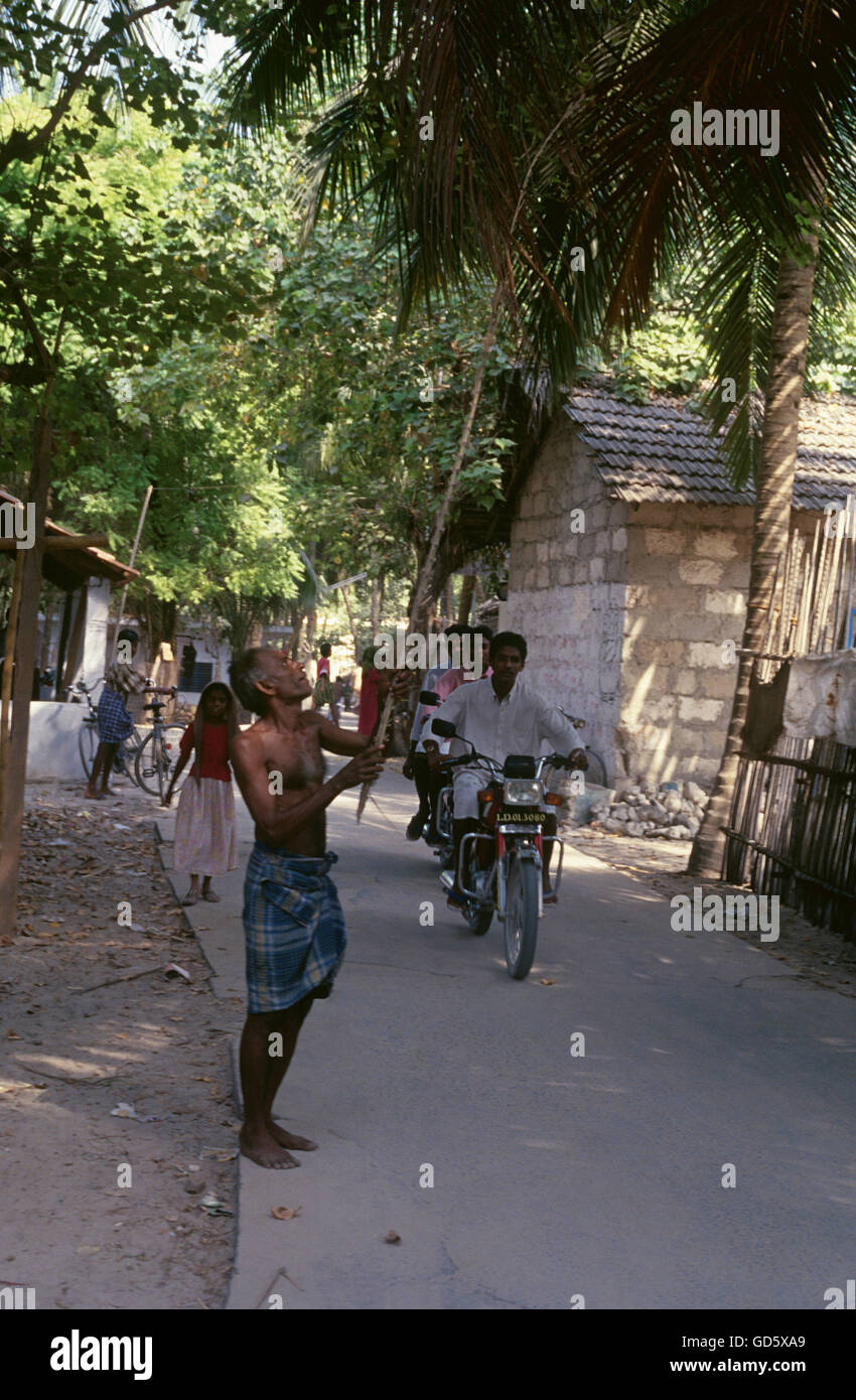 Road at Agatti Island Stock Photo - Alamy