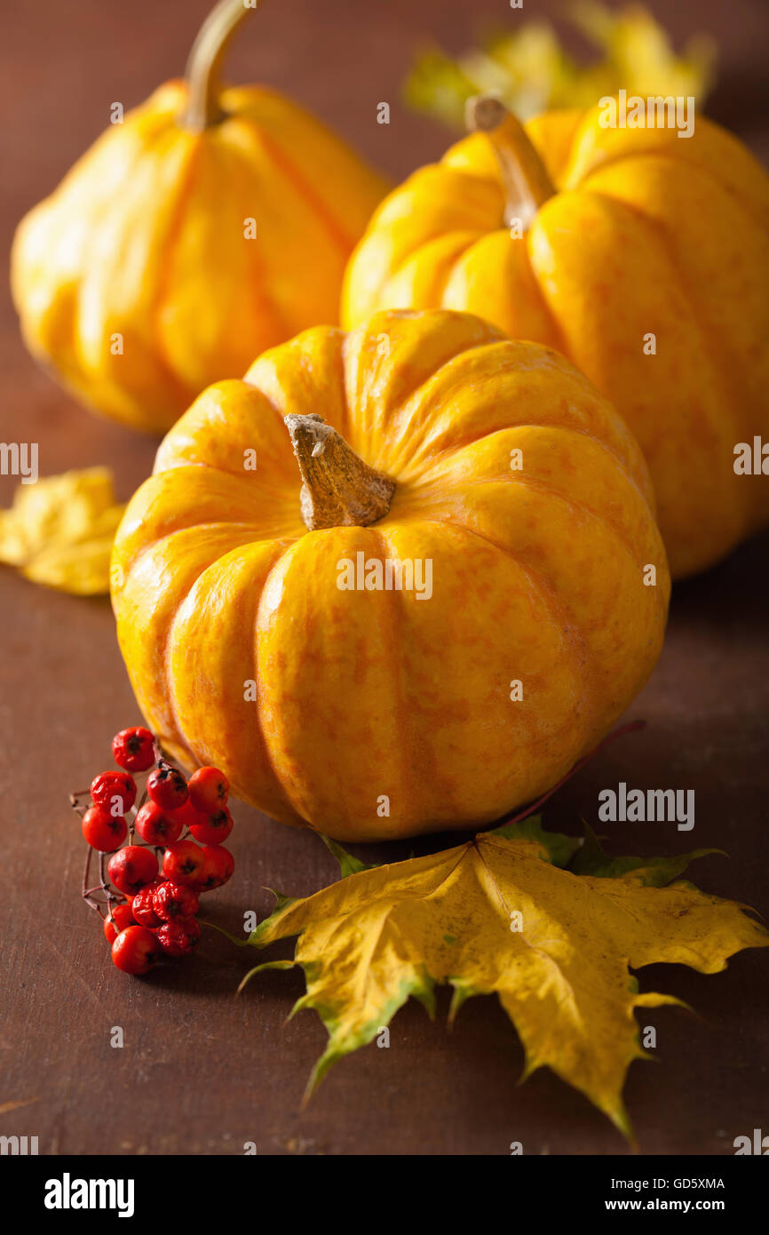 Dark green mini decorative hi-res stock photography and images - Alamy