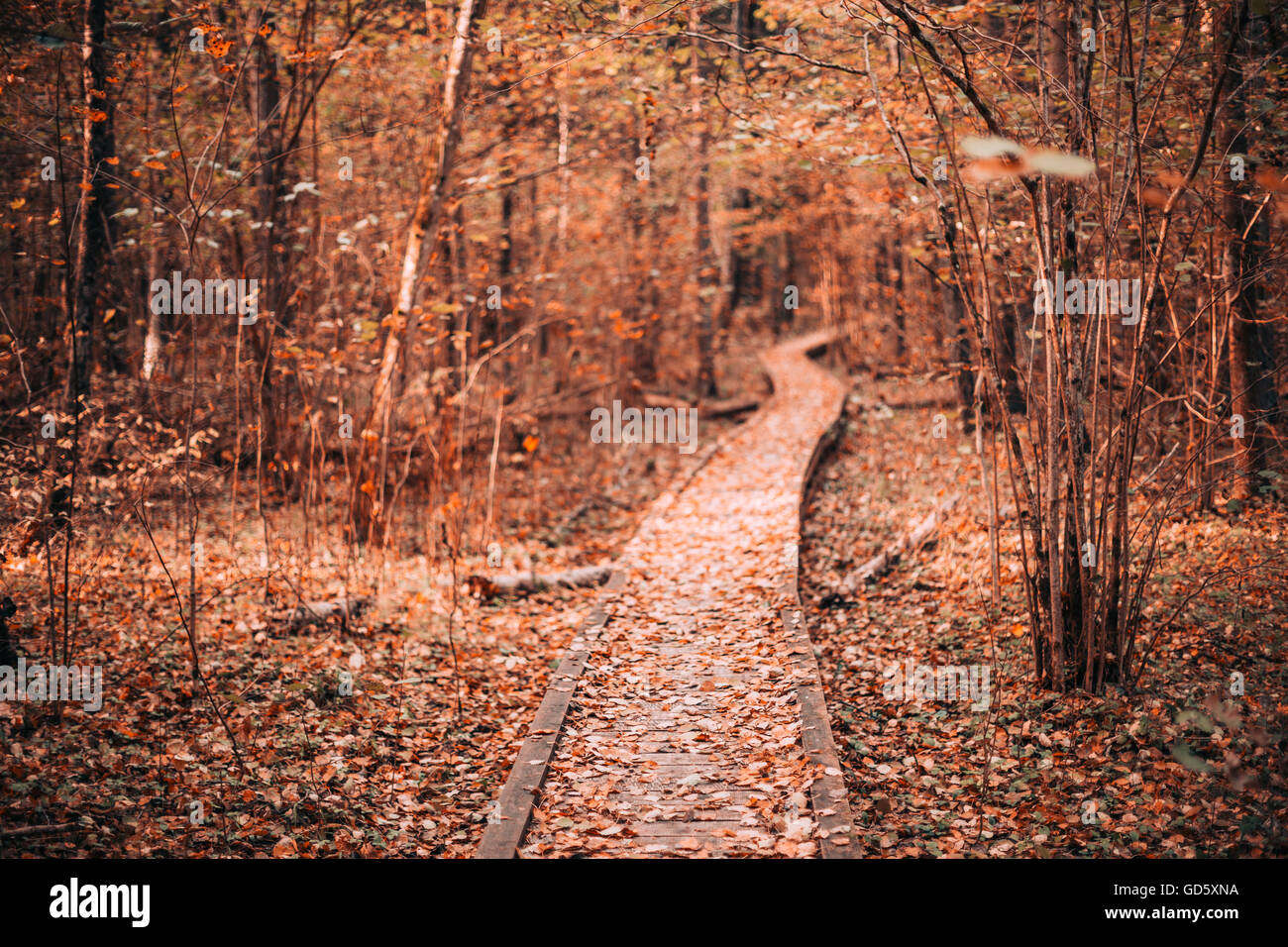 Wooden boarding hi-res stock photography and images - Alamy