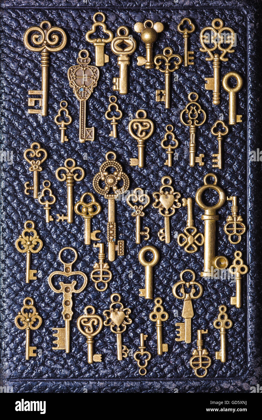 steampunk old vintage metal keys background on leather Stock Photo - Alamy