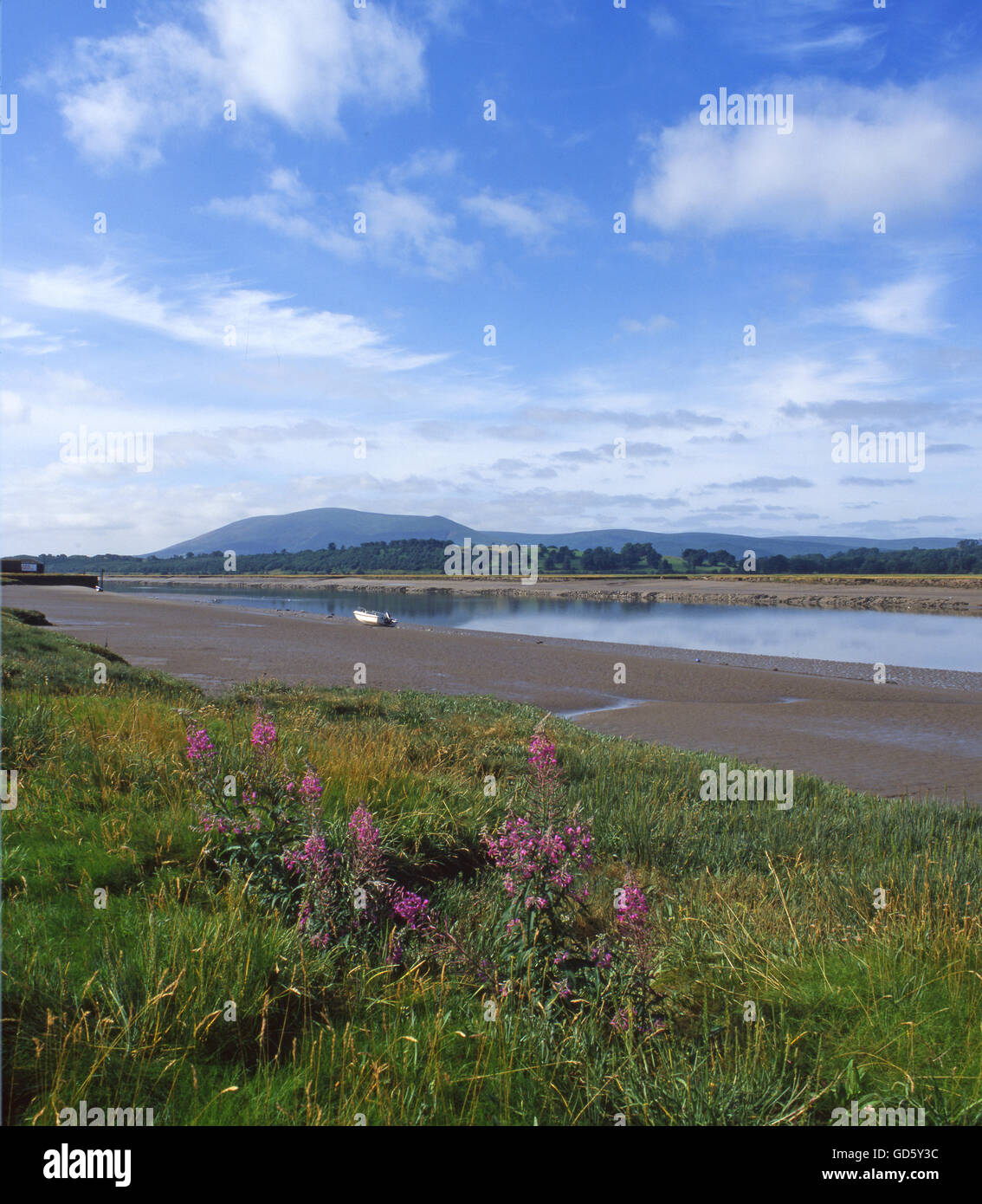 River Nith from Glencaple, Dumfries and Galloway, Scotland Stock Photo ...