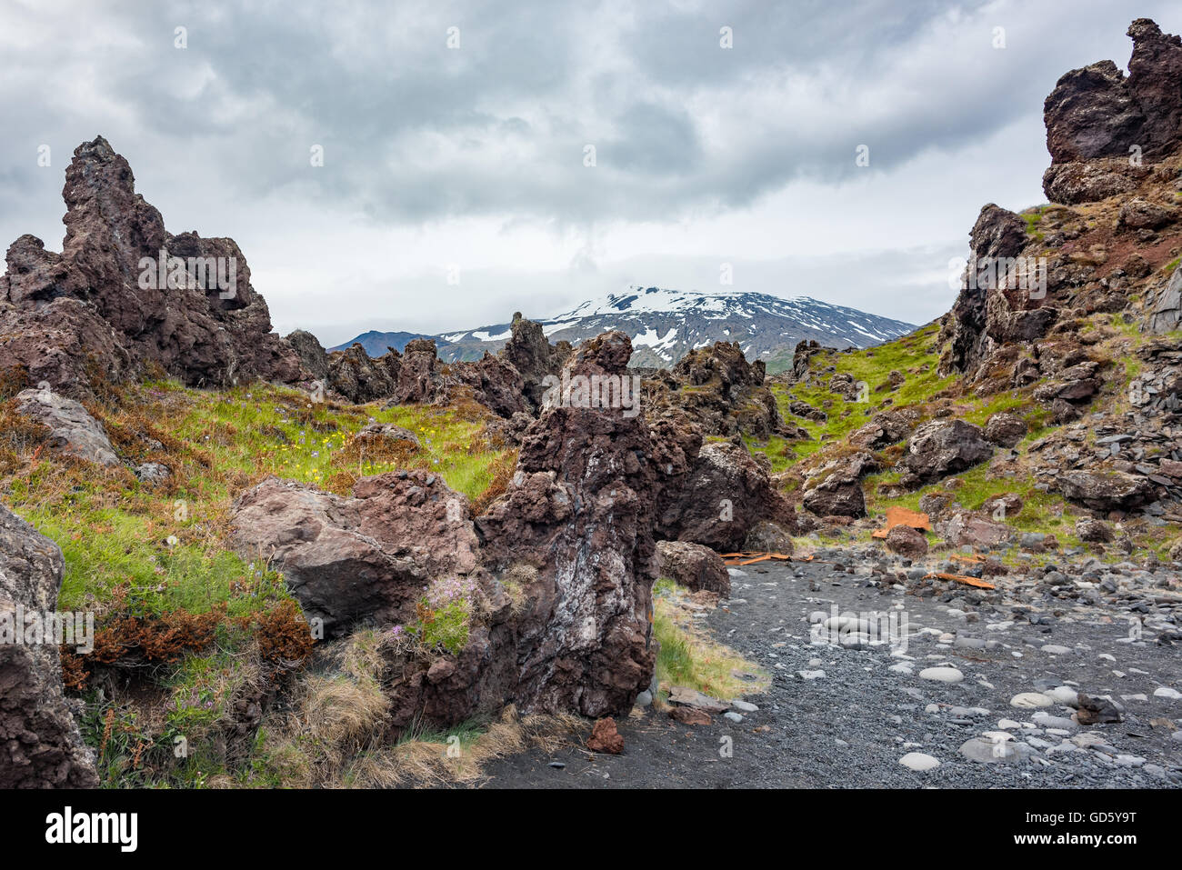 Lava rock formations in Djupalonssandur at the foot of the ...