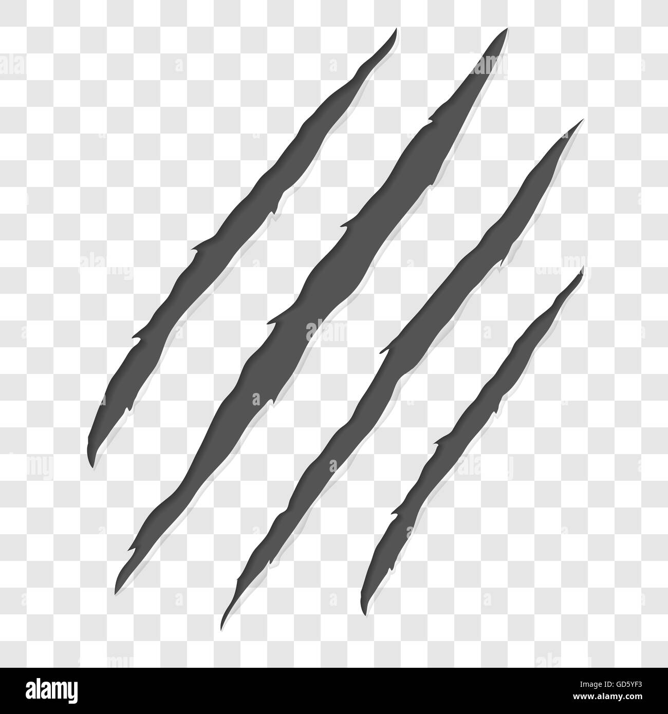 Scratch claws animal Black and White Stock Photos & Images - Alamy