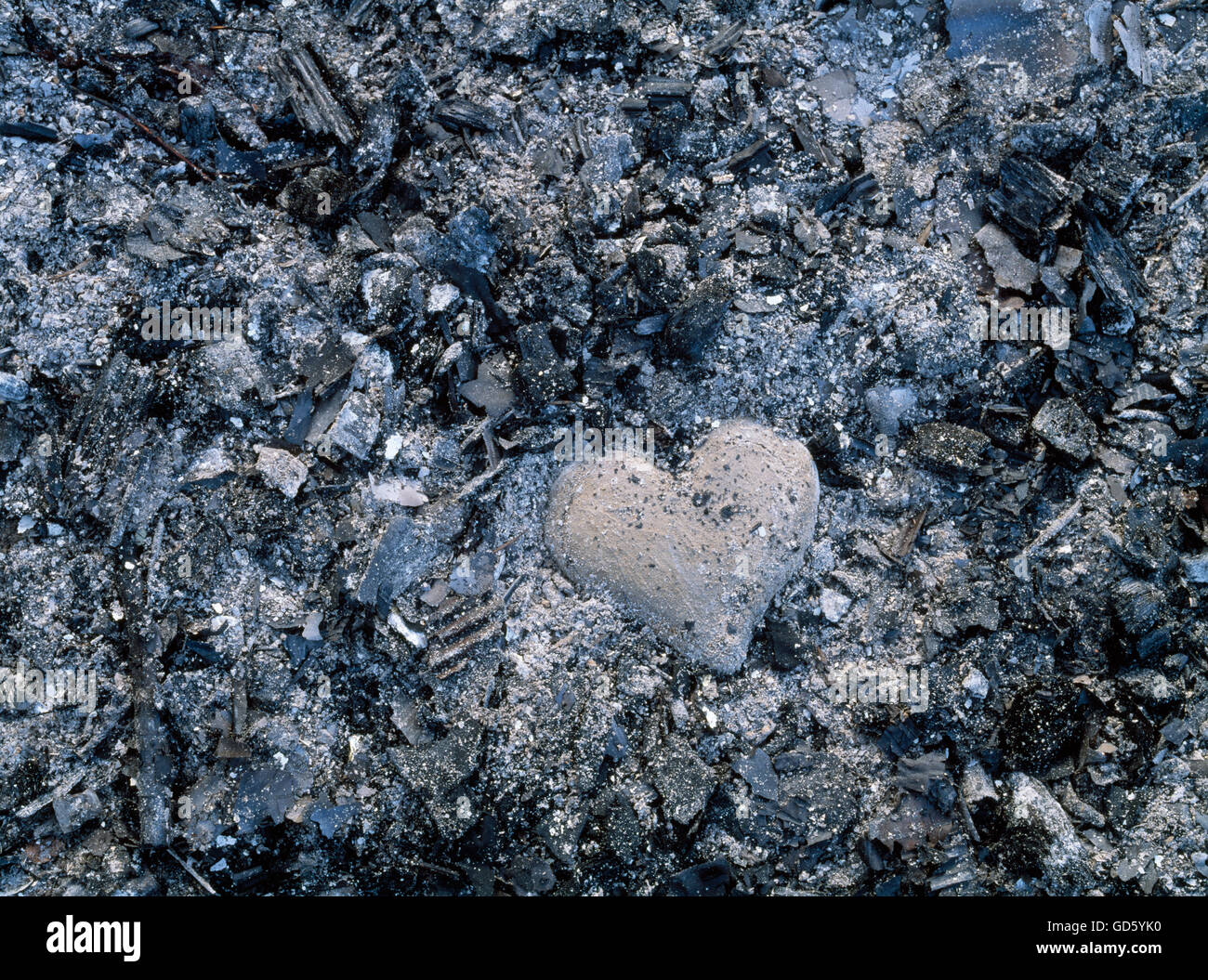 Burn to ashes hi-res stock photography and images - Alamy