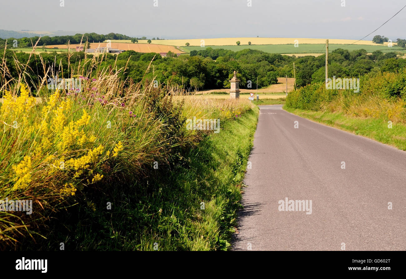 Looking towards the lion monument that stands beside the A342 road ...