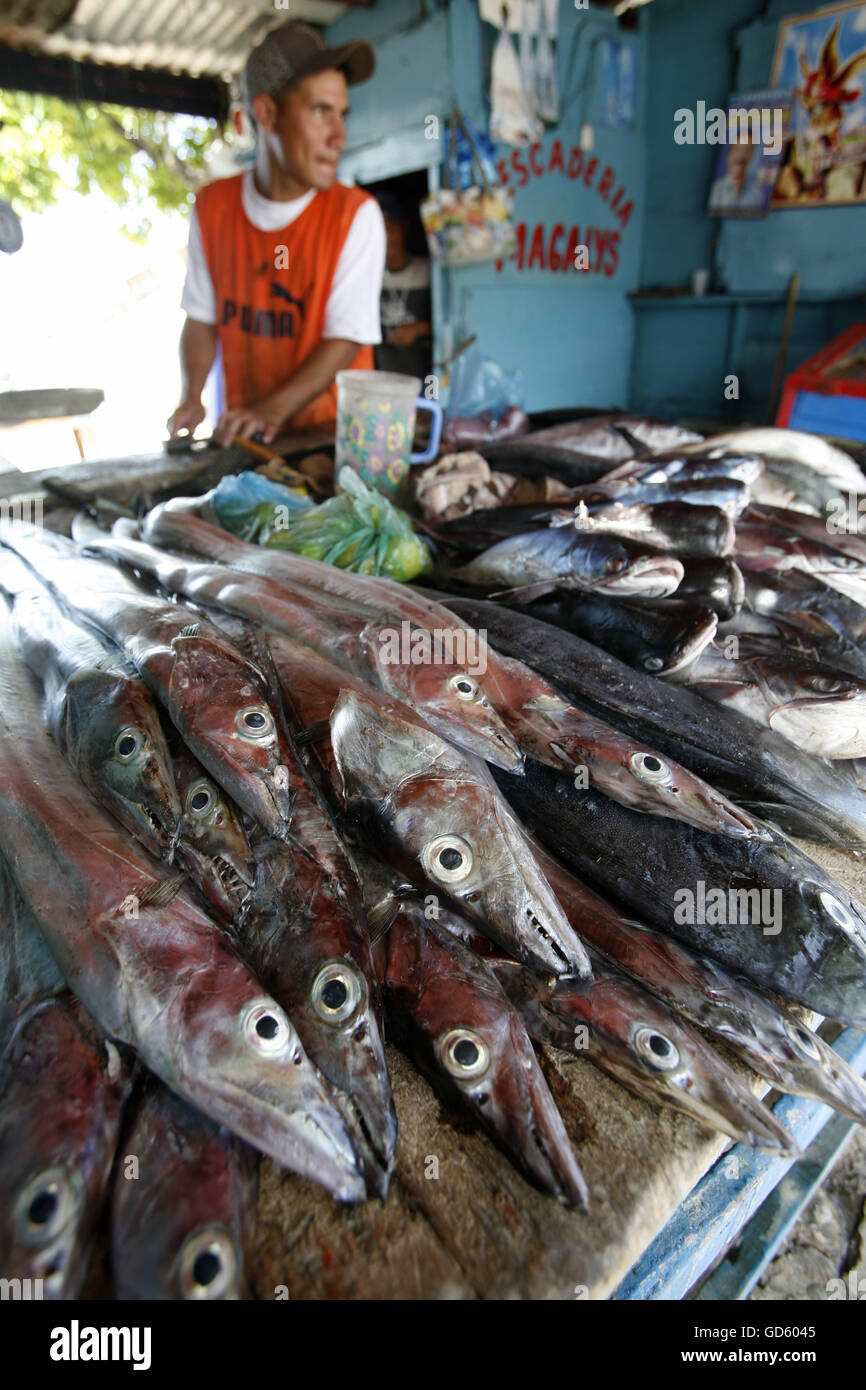 the fish market at the beach in the town of Juangriego on the Isla ...