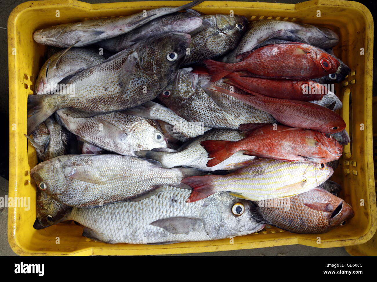 the fish market at the beach in the town of Juangriego on the Isla ...
