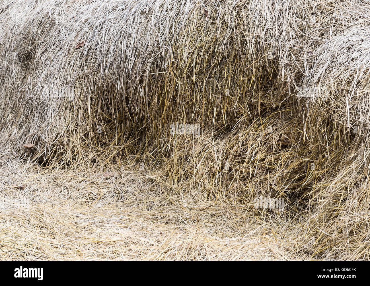 Closeup of the dry haystack behind the farmer house in the countryside ...