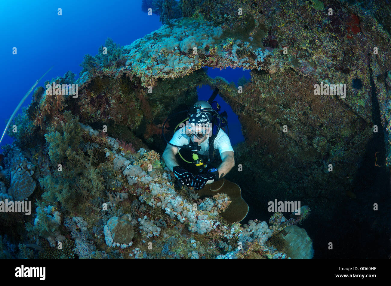 Male scuba diver inside the wreck of the Numidia, Big Brother reef ...