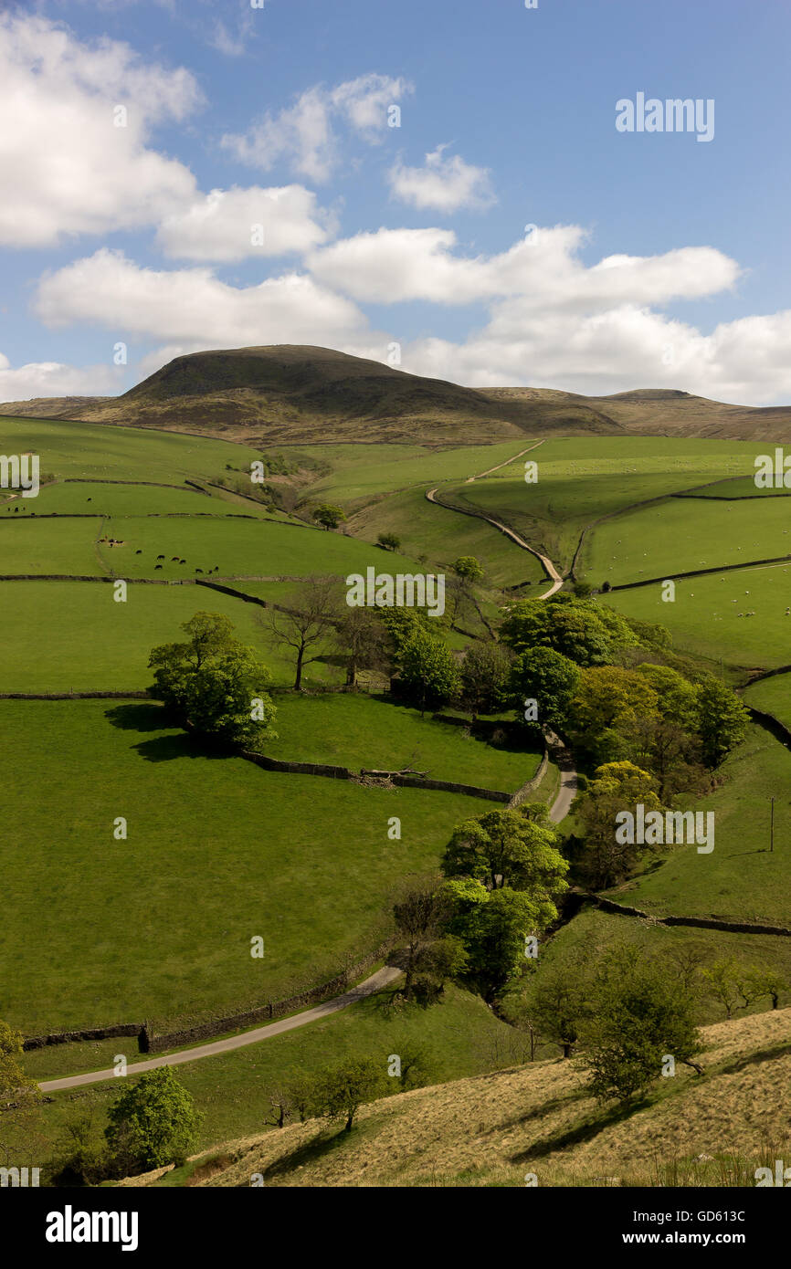 Tree lined winding road in the Peak District Stock Photo - Alamy