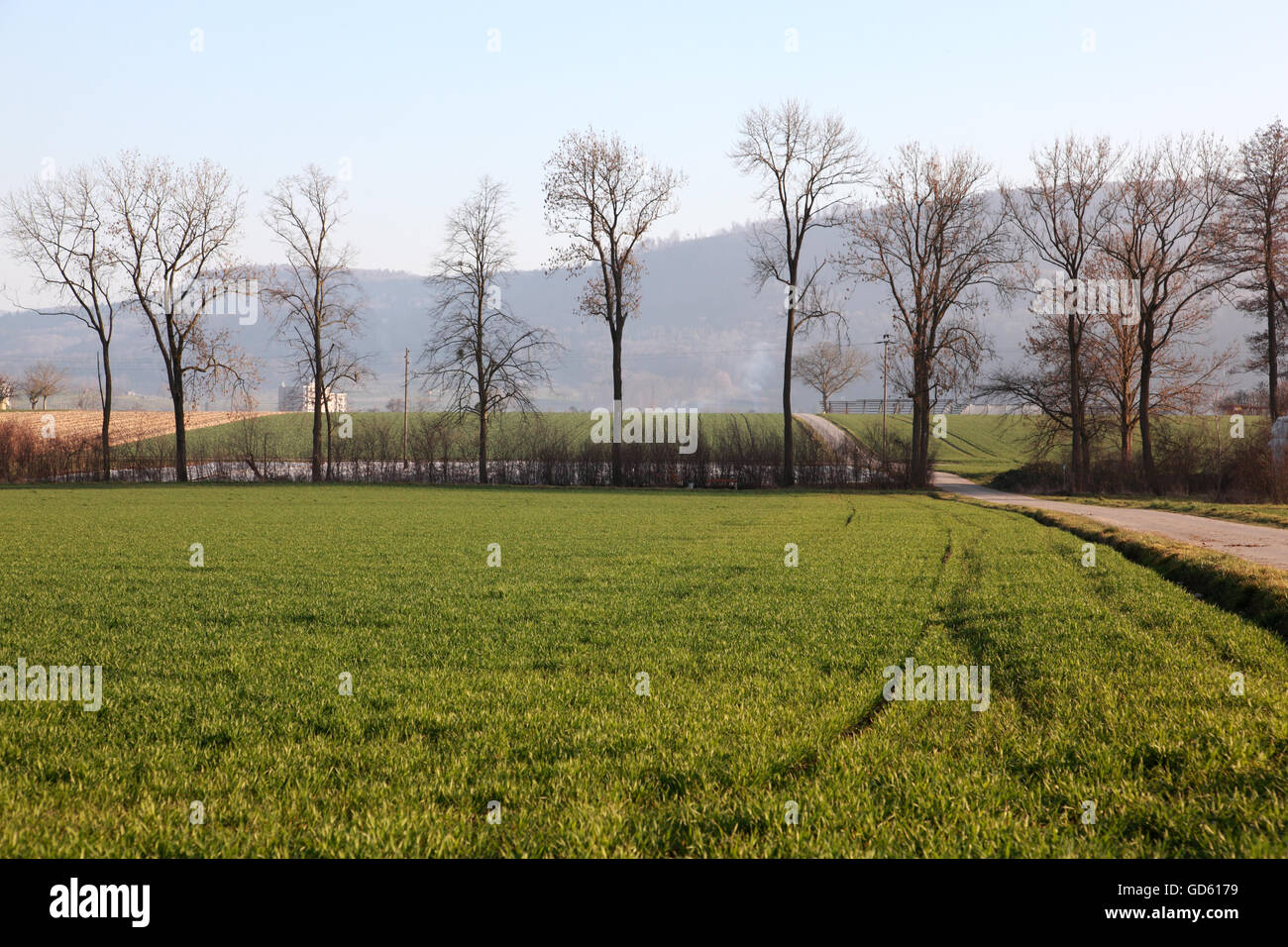 Farmers’ small fields in Therwil, Basel, Switzerland Stock Photo - Alamy