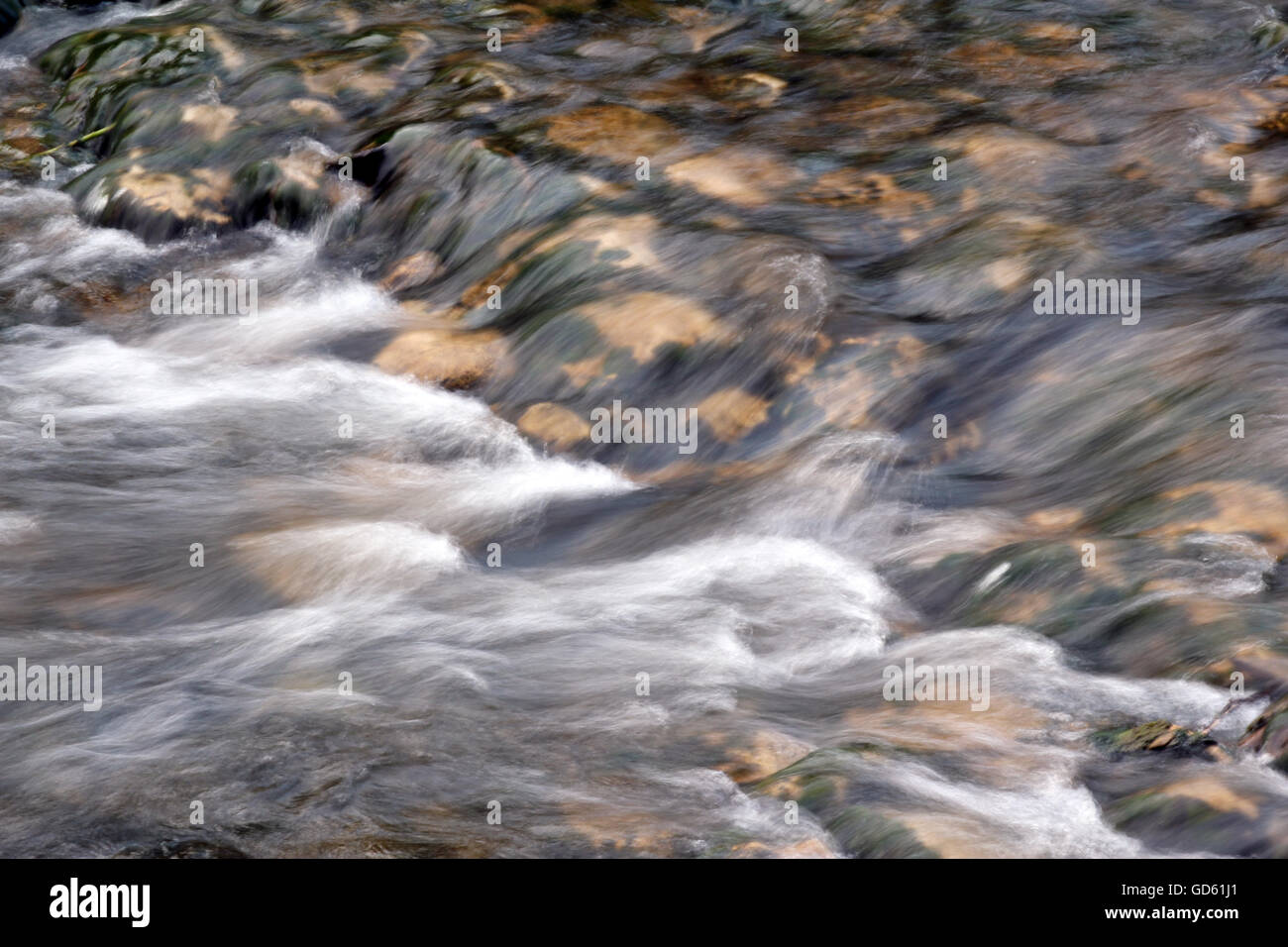 creek nature scene Stock Photo - Alamy