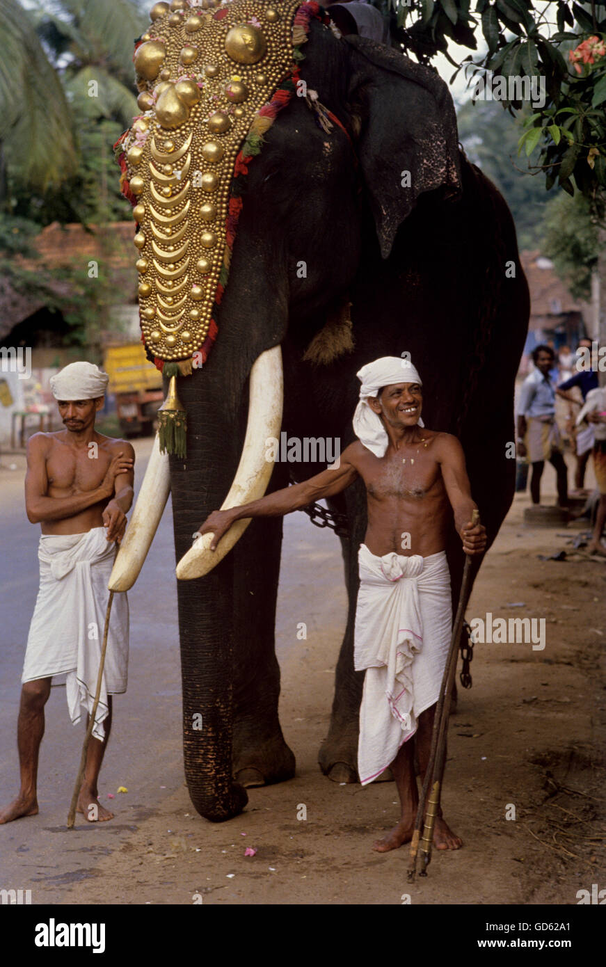 Ceremonial elephant hi-res stock photography and images - Alamy