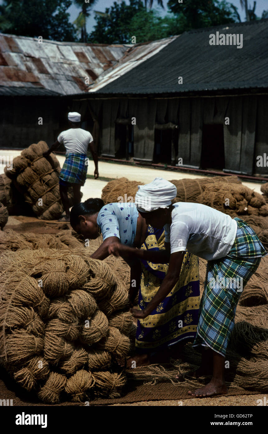 Coir ropes hi-res stock photography and images - Alamy