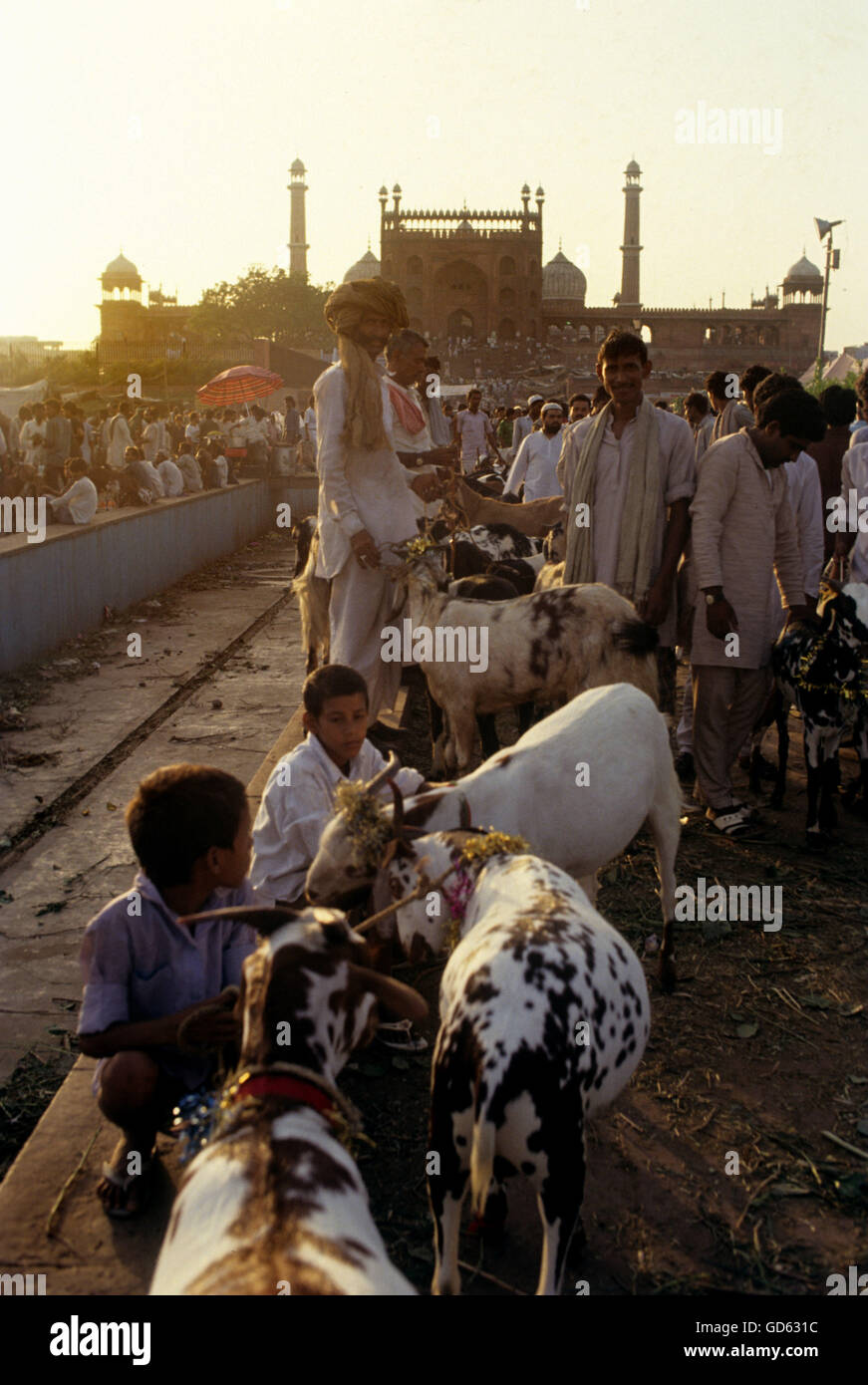 Bakr id hi-res stock photography and images - Alamy