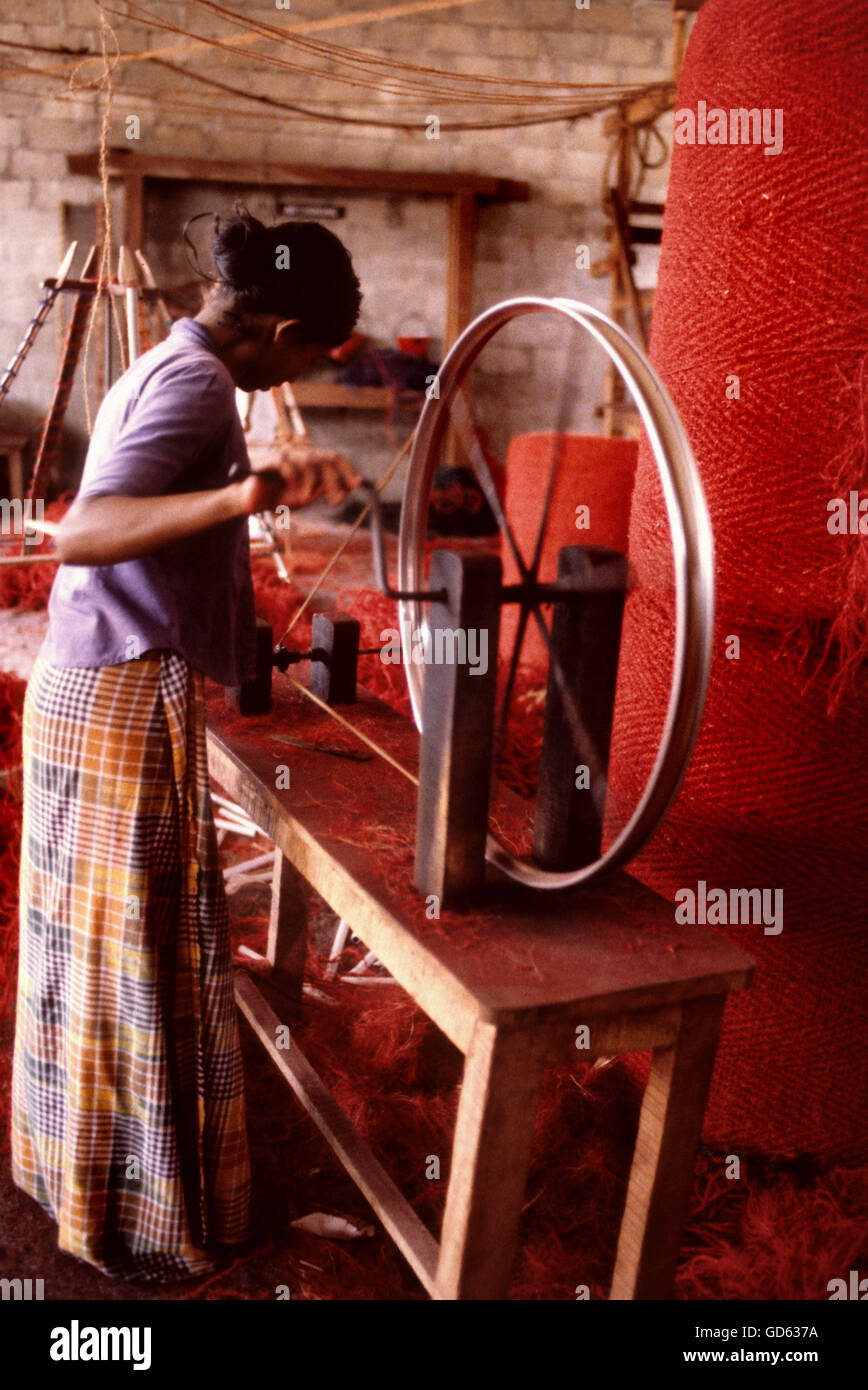Kerala coir industry hi-res stock photography and images - Alamy