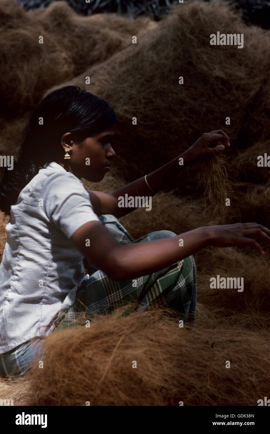Sorting coconut fibre Stock Photo - Alamy