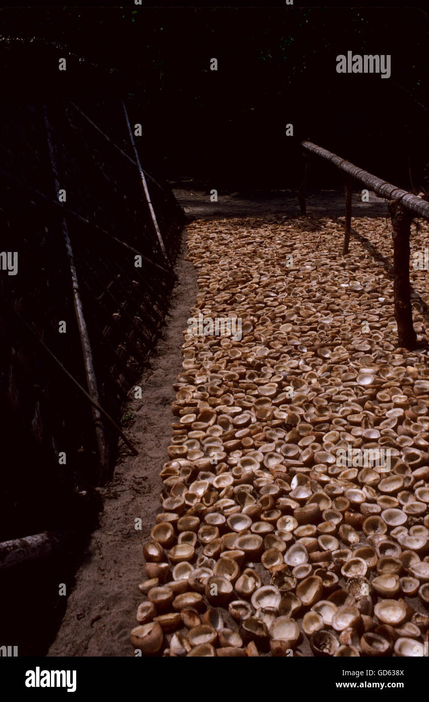 Dried Coconut Shells High Resolution Stock Photography and Images - Alamy