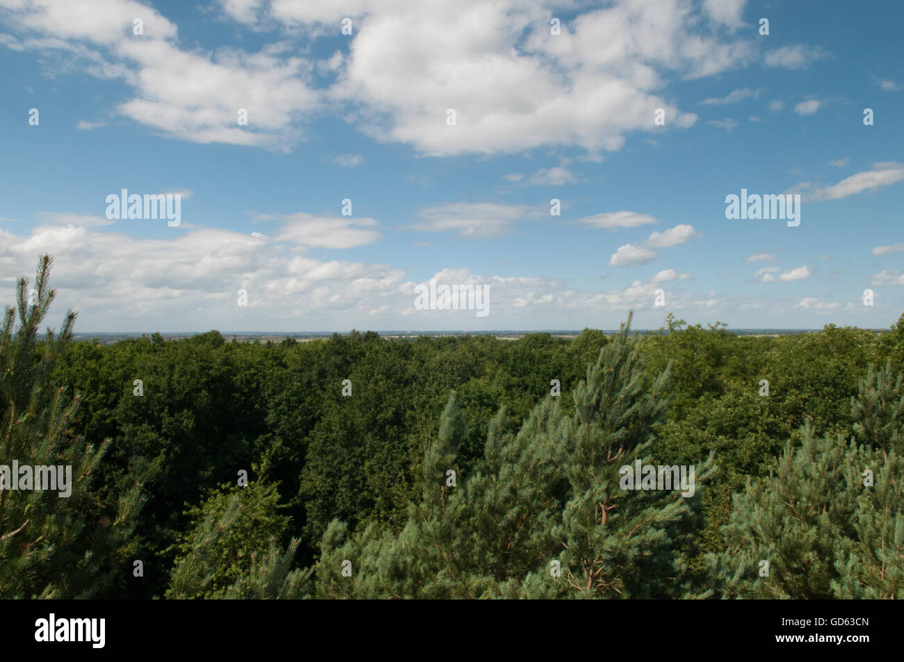 Tree top view hi-res stock photography and images - Alamy