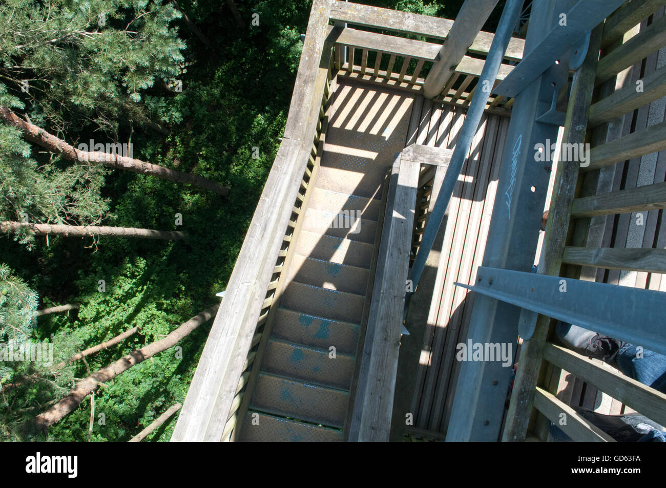 Trees up high hi-res stock photography and images - Alamy