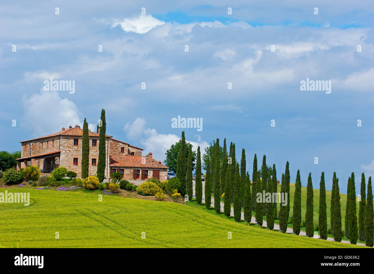 Val d'Orcia, Orcia Valley, Farm with cypress trees, Fields and ...