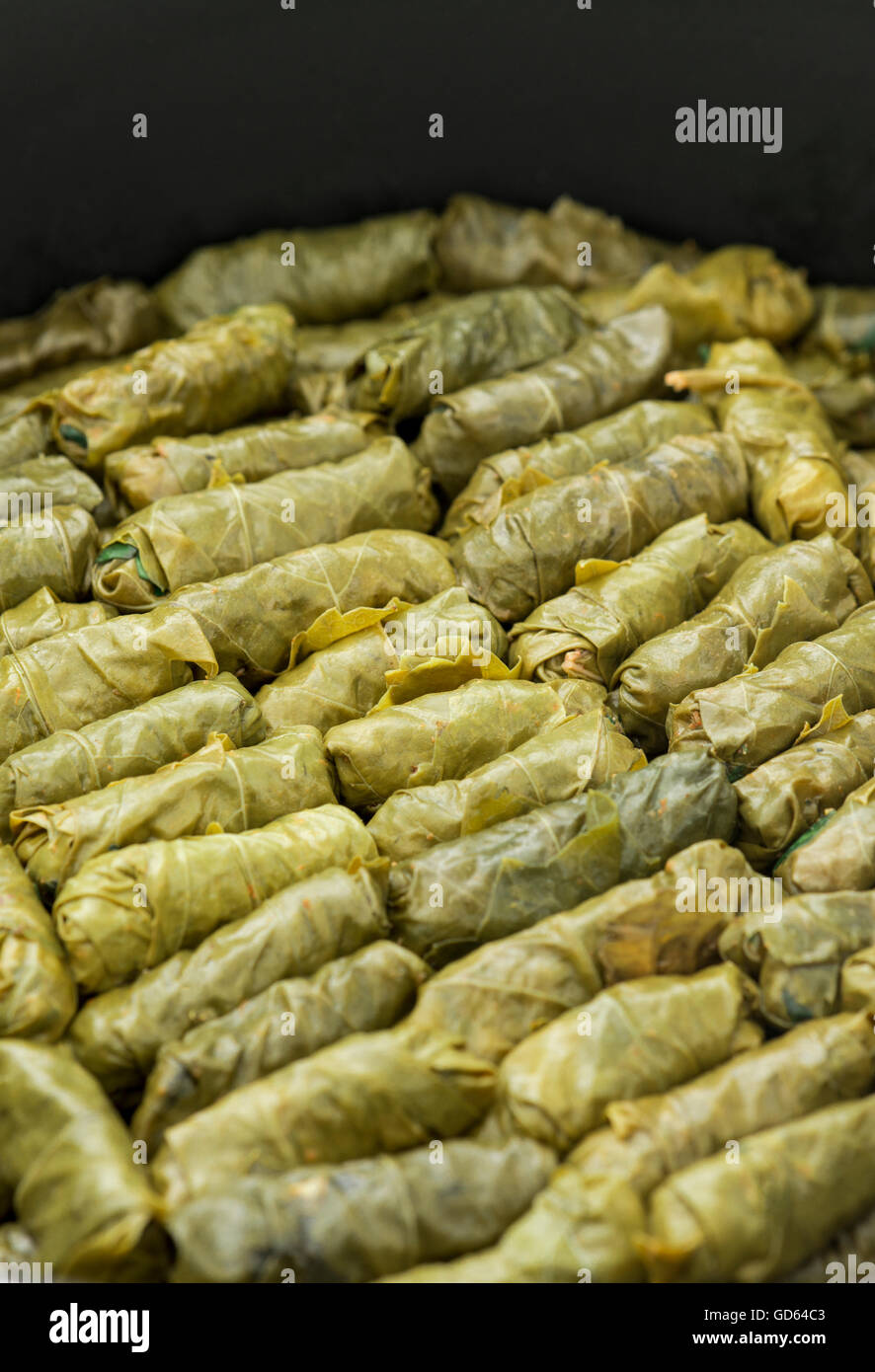 Closeup plate meat rolls hi-res stock photography and images - Alamy