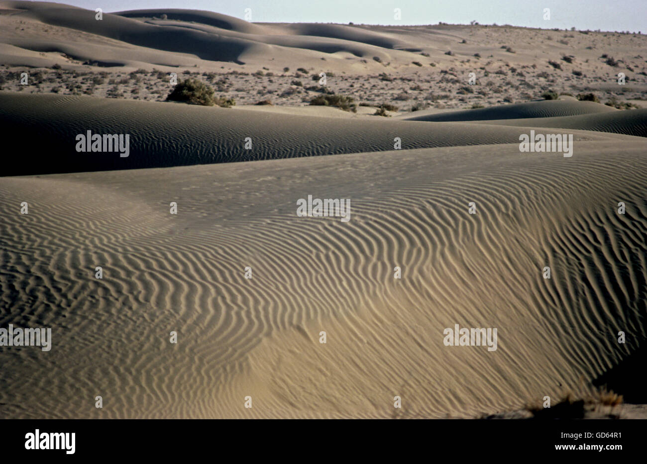 Khuri dunes hi-res stock photography and images - Alamy