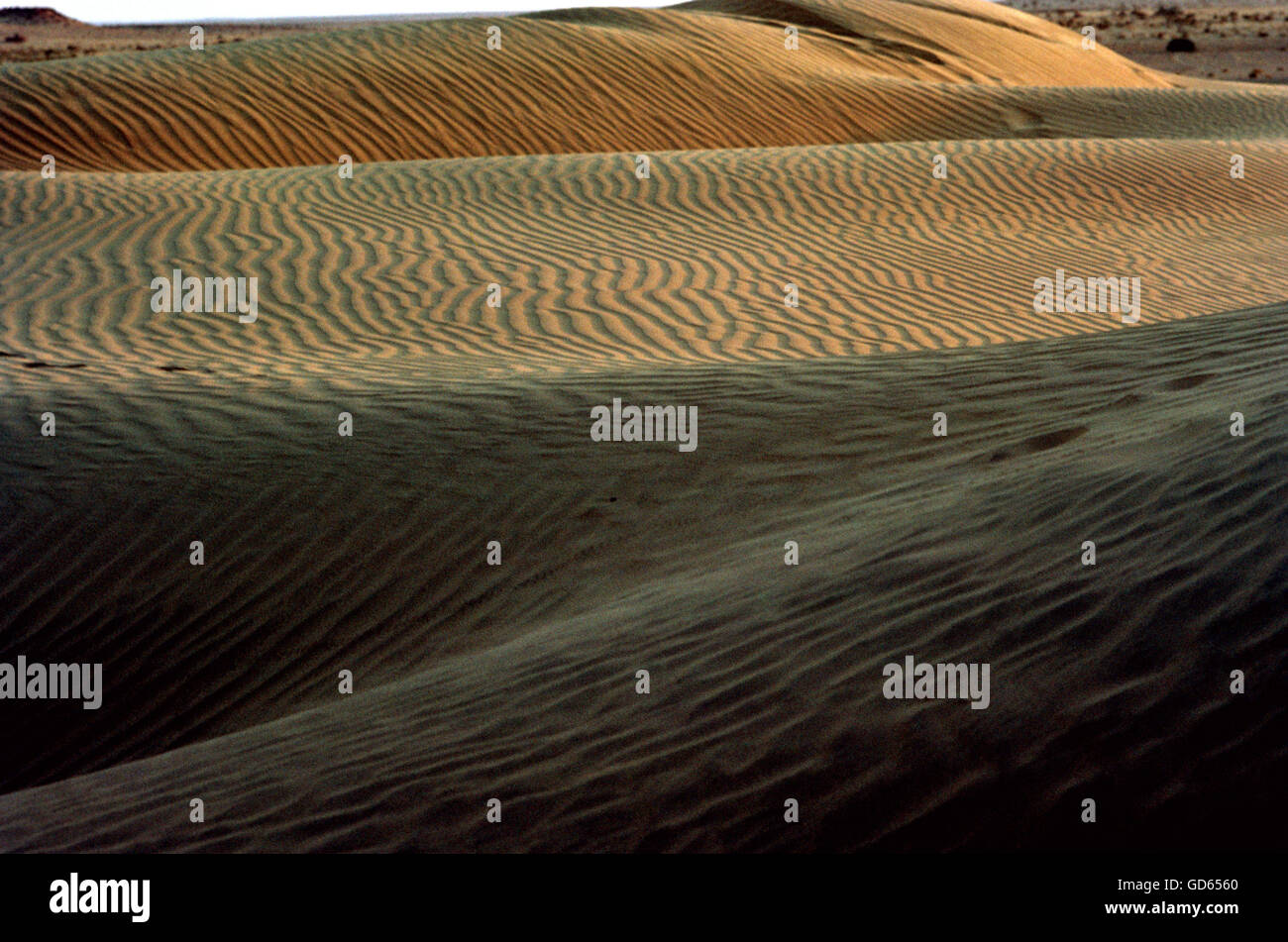Khuri dunes hi-res stock photography and images - Alamy