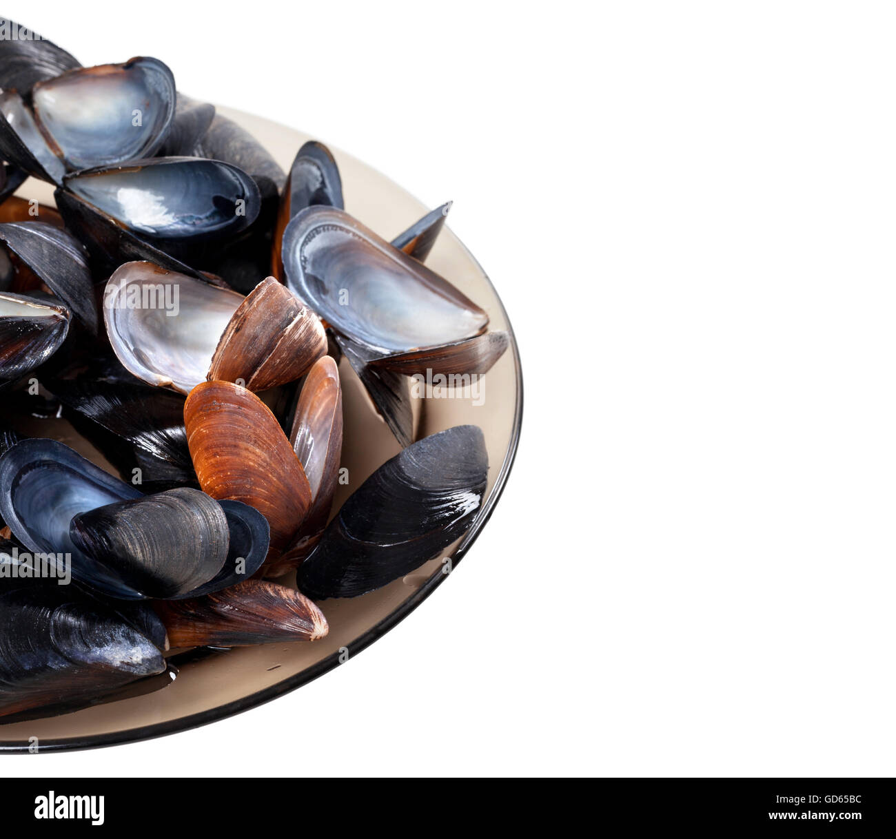 Shells of mussels on glass plate. Isolated on white background with ...