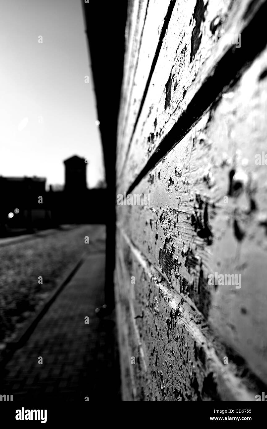 Wall, Wall art, Wall perspective, Wall surface, Wall structure, Wall ...