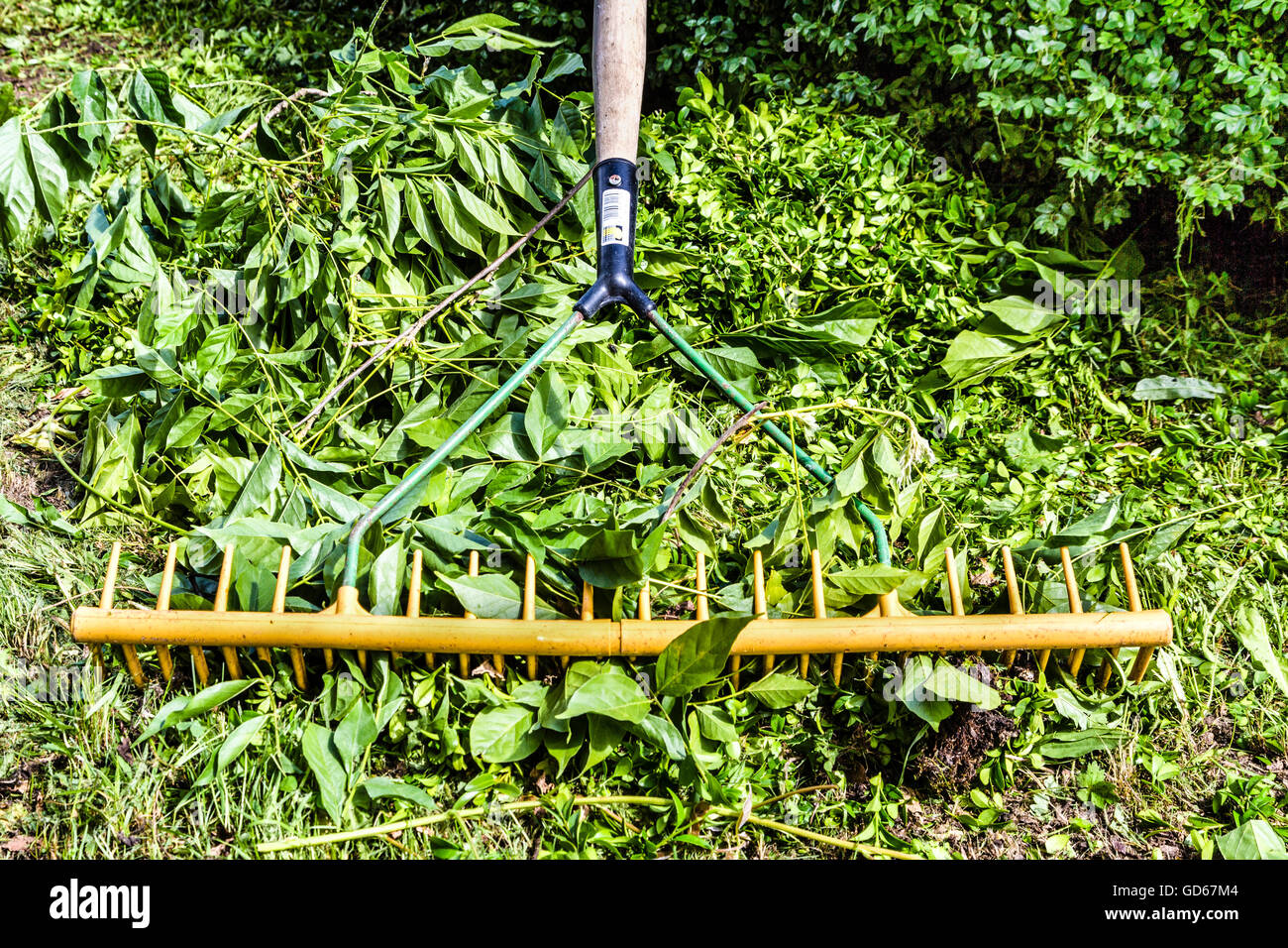 Rake leaves hi-res stock photography and images - Alamy
