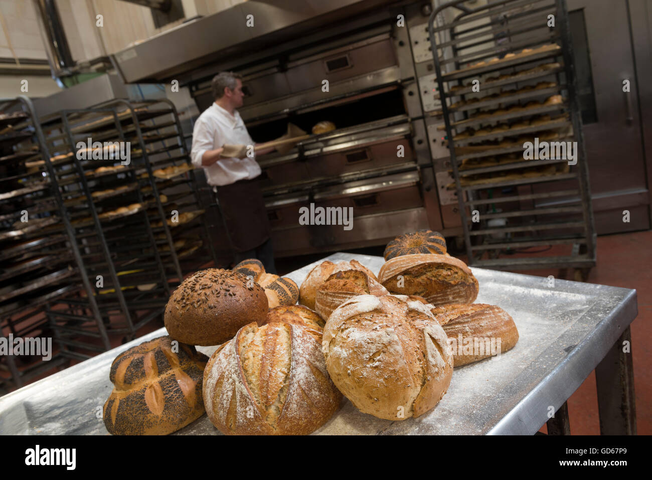 Baker baking bread. England. UK Stock Photo - Alamy