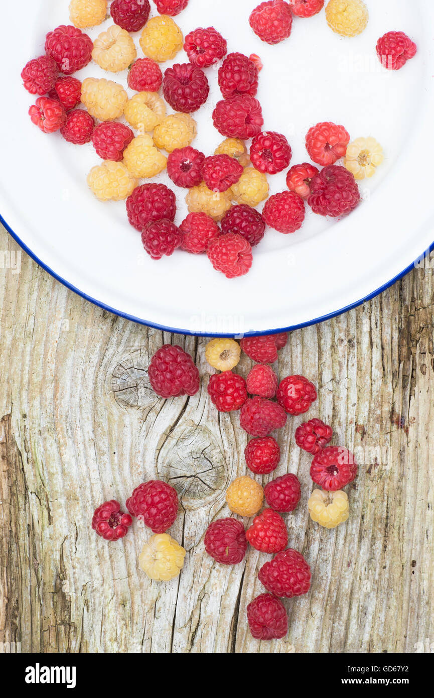 Berry white variety hi-res stock photography and images - Alamy