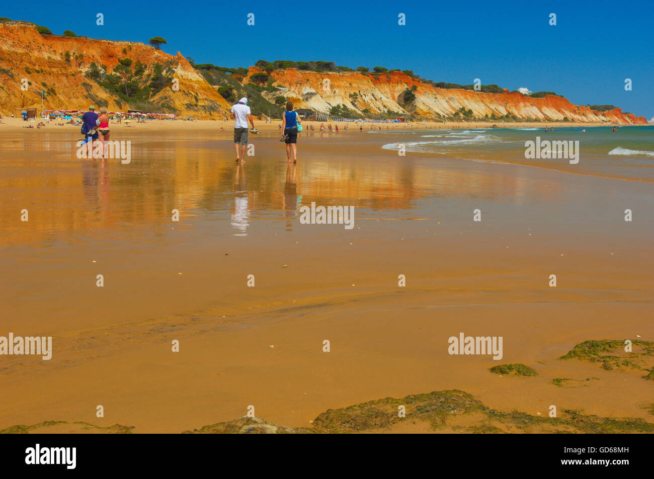 Praia Falesia, Falesia beach, Albufeira, Algarve, Portugal Stock Photo ...